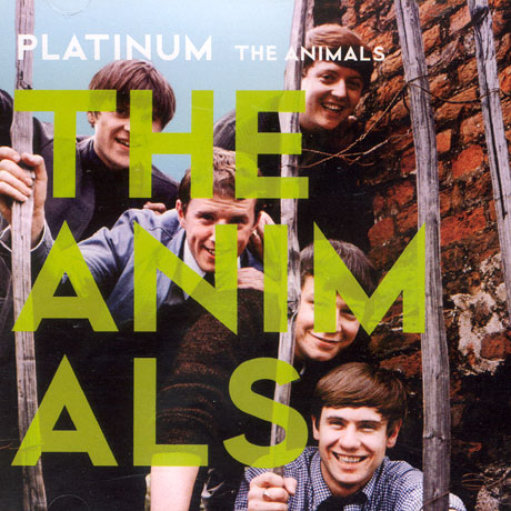 Dave Rowberry - JungleKey.com Wiki